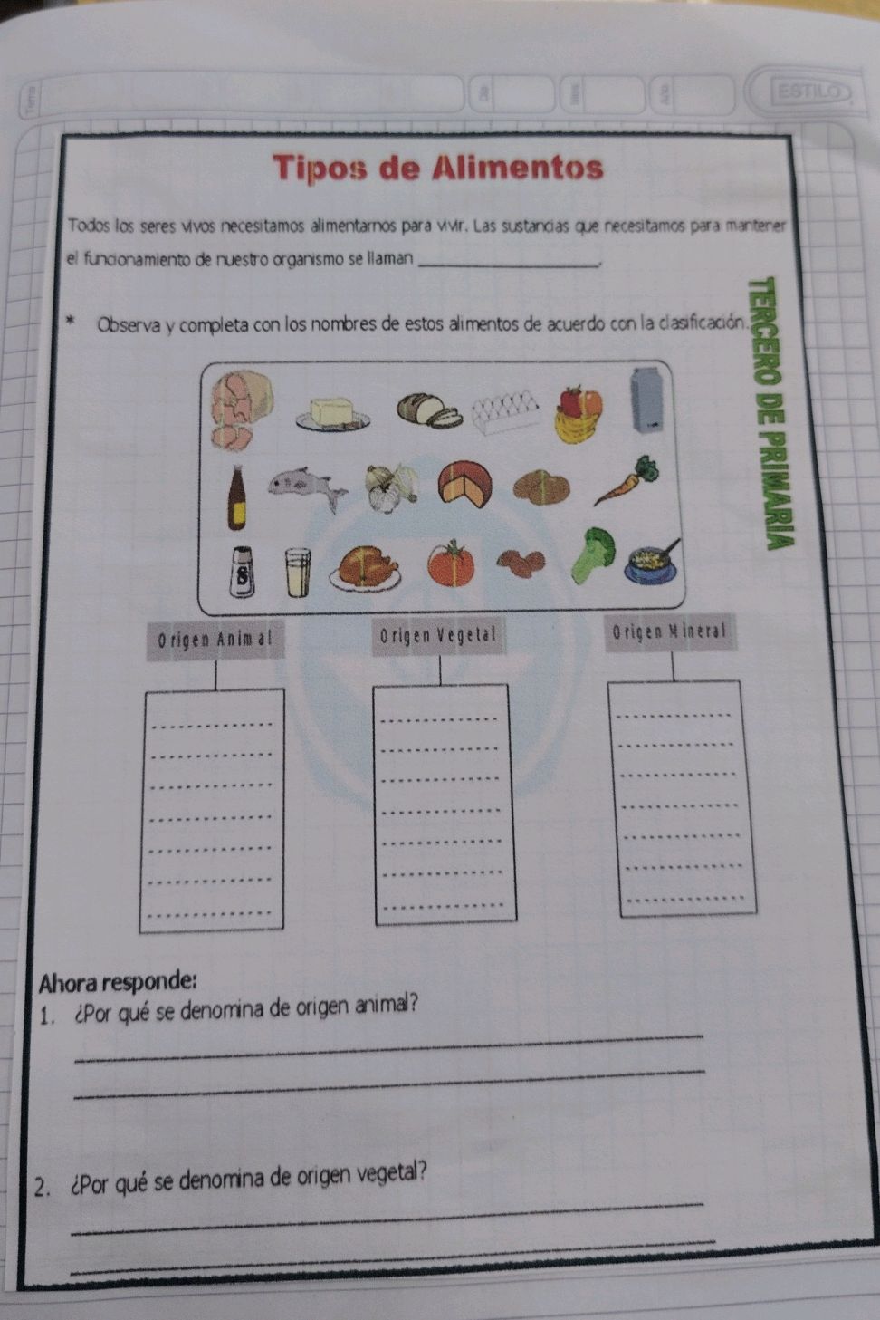 Tipos de Alimentos Todos los seres vivos | StudyX