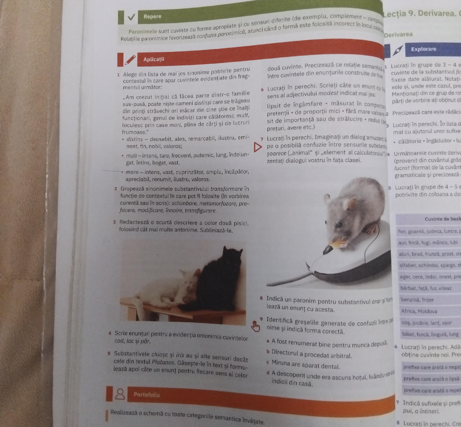 Grupează sinonimele substantivului | StudyX