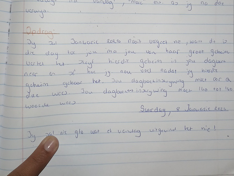 Opdrag Jy sal Januarie 2025 nooit vergeet | StudyX