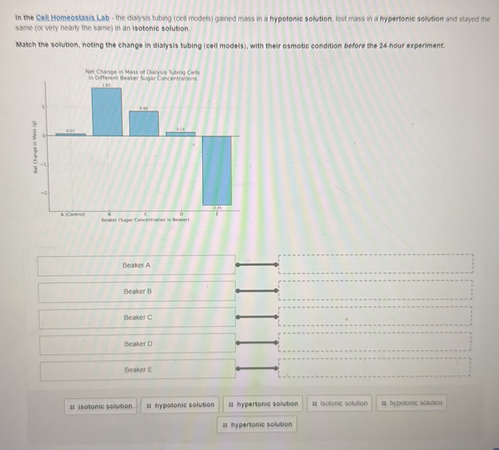 In the Cell Homeostasis Lab - the dialysis | StudyX