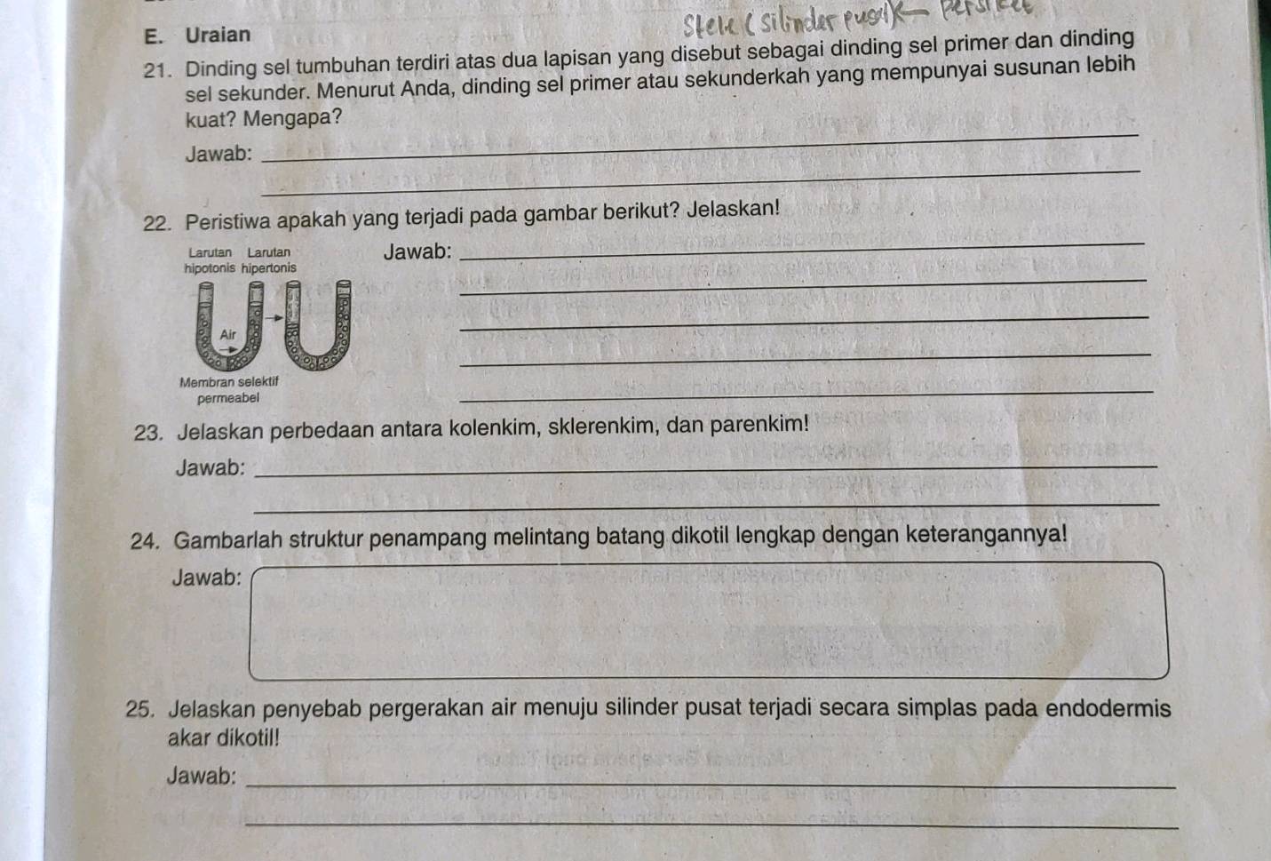 E. Uraian 21. Dinding sel tumbuhan terdiri | StudyX