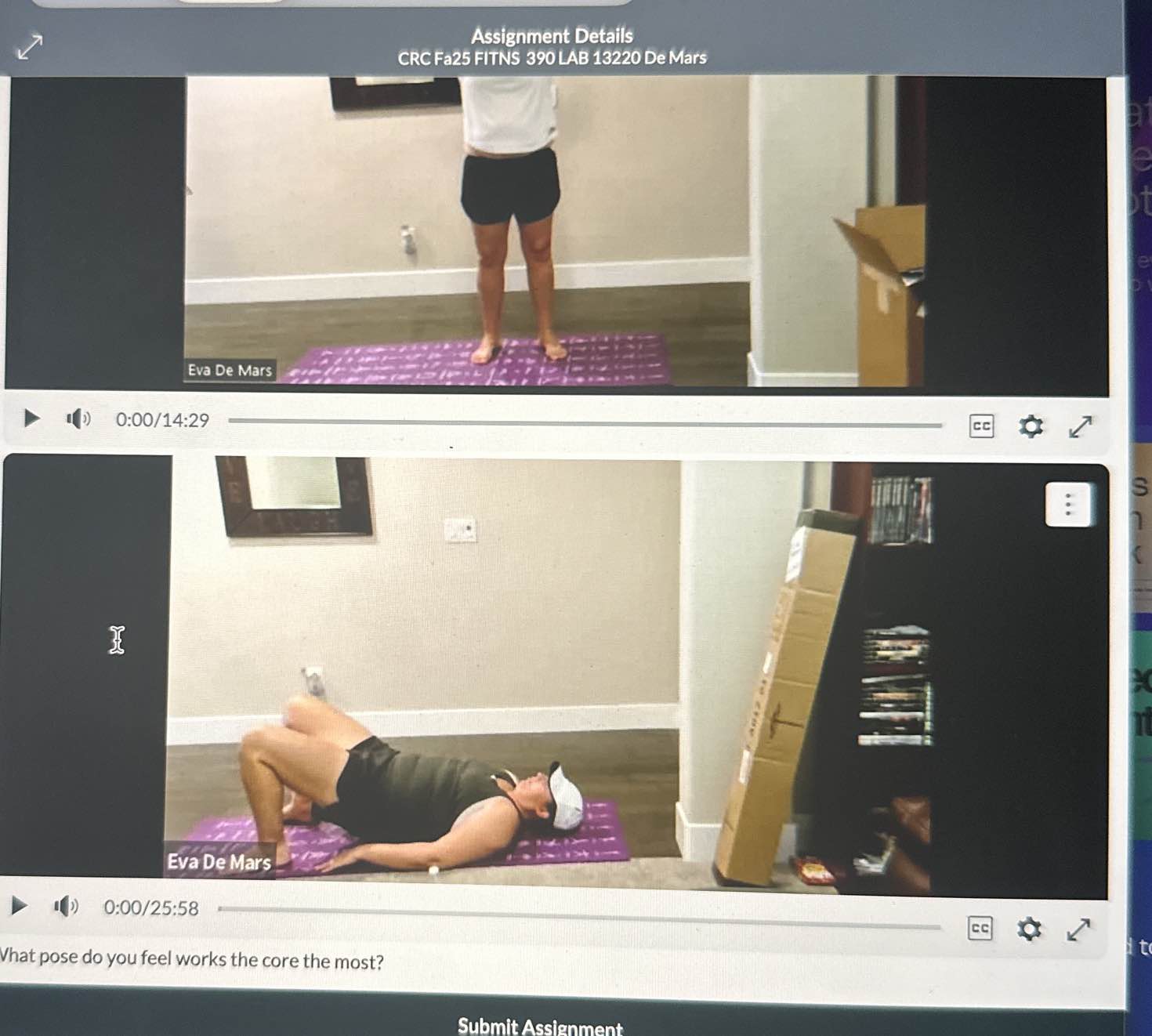 What pose do you feel works the core the | StudyX