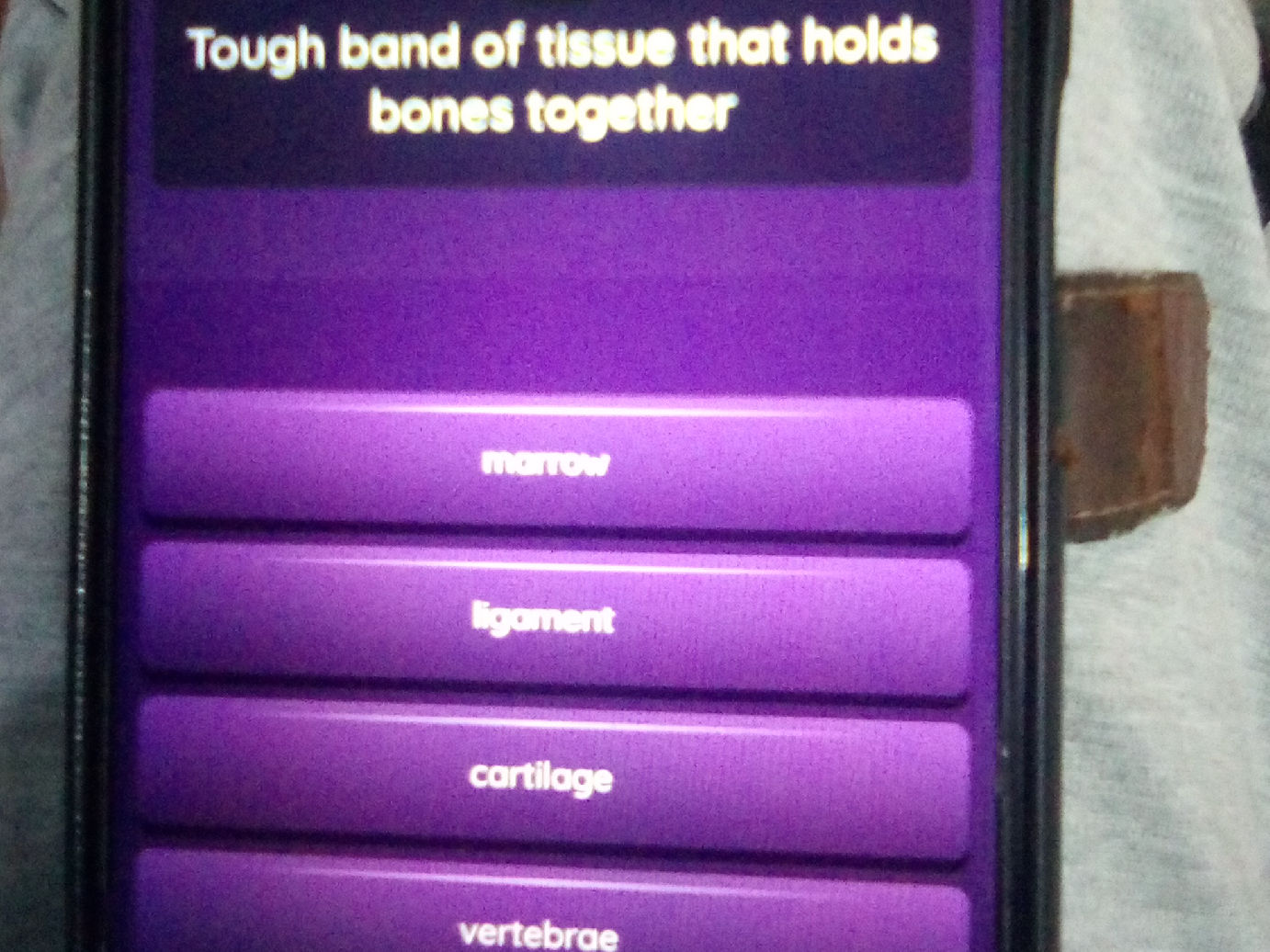 Tough band of tissue that holds bones | StudyX