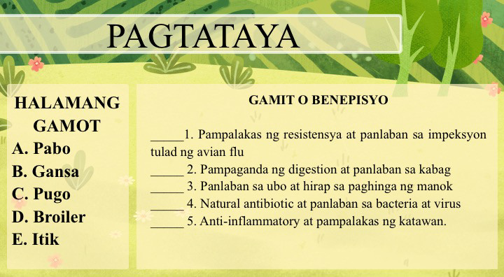 HALAMANG GAMOT A. Pabo B. Gansa C. Pugo | StudyX