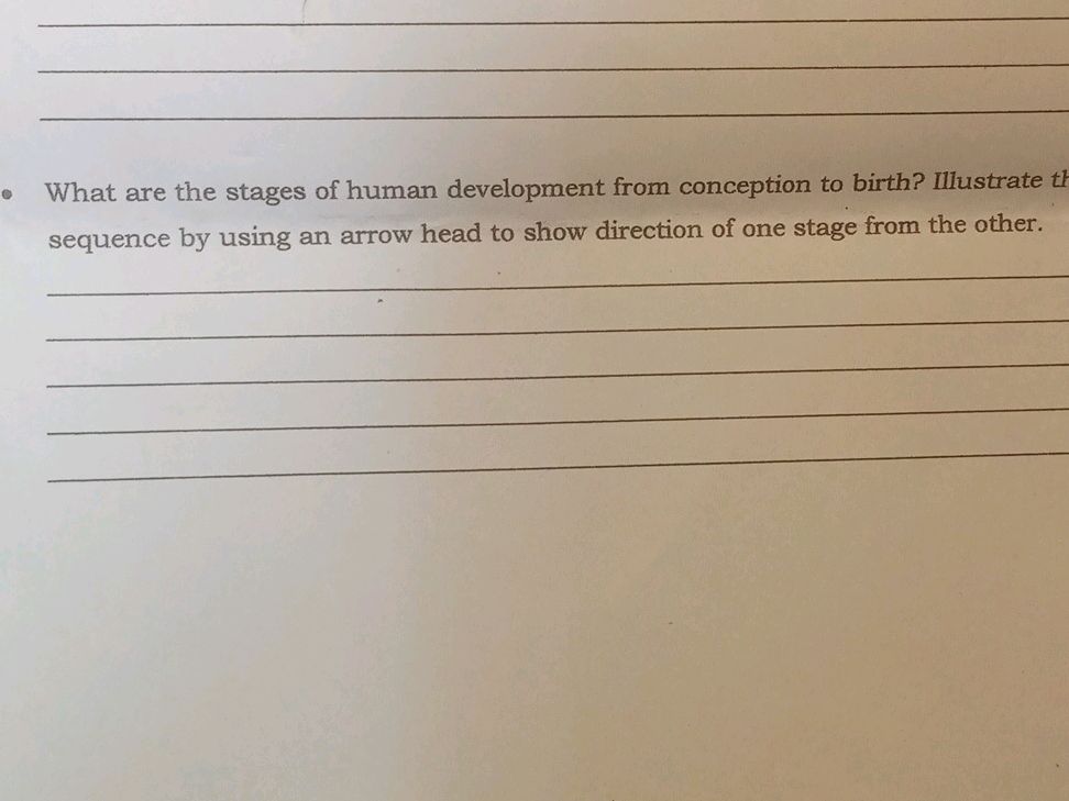 What are the stages of human development | StudyX