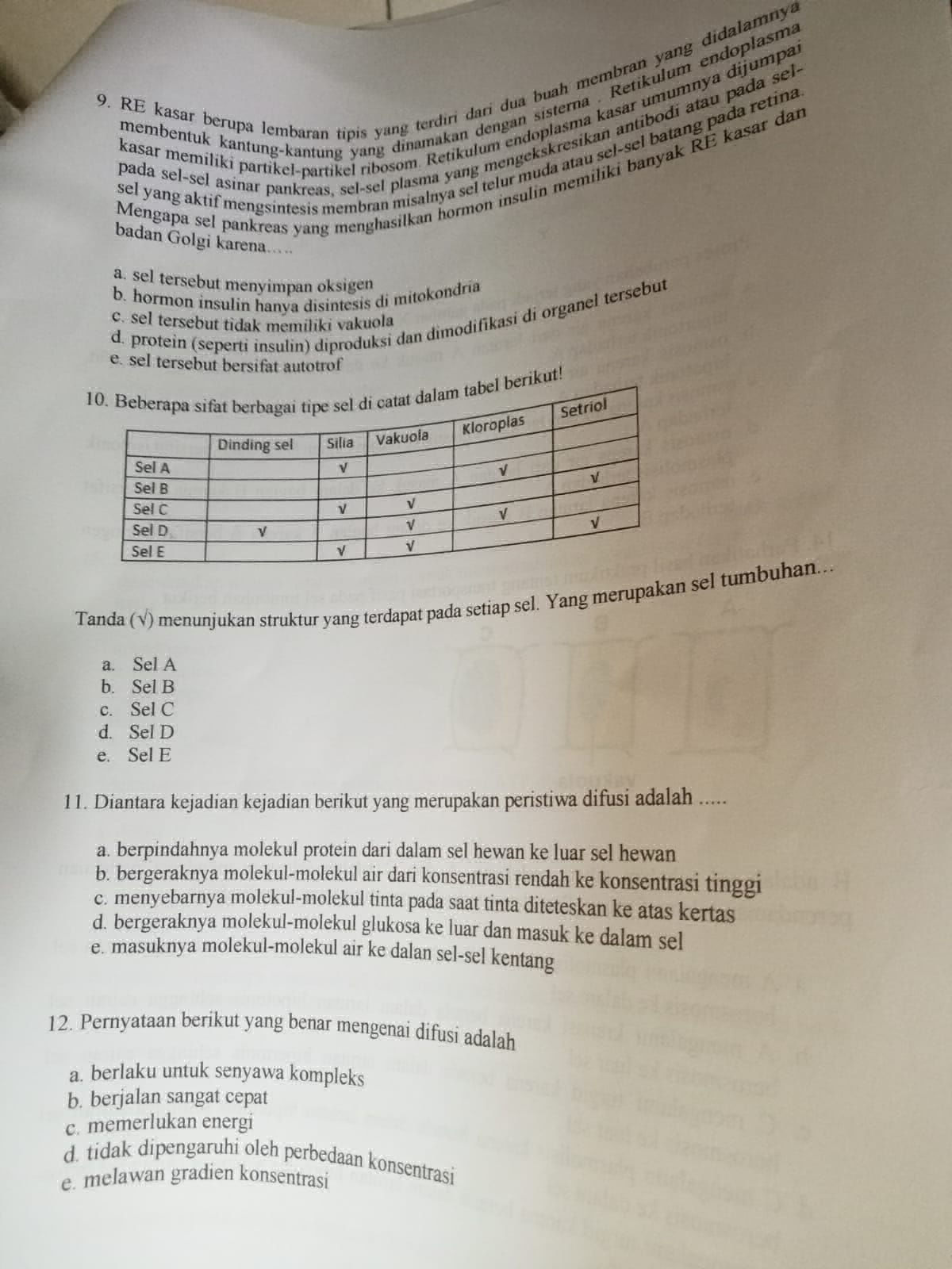 9. RE kasar berupa lembaran tipis yang | StudyX