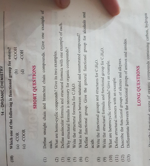 Define straight chain and branched chain | StudyX