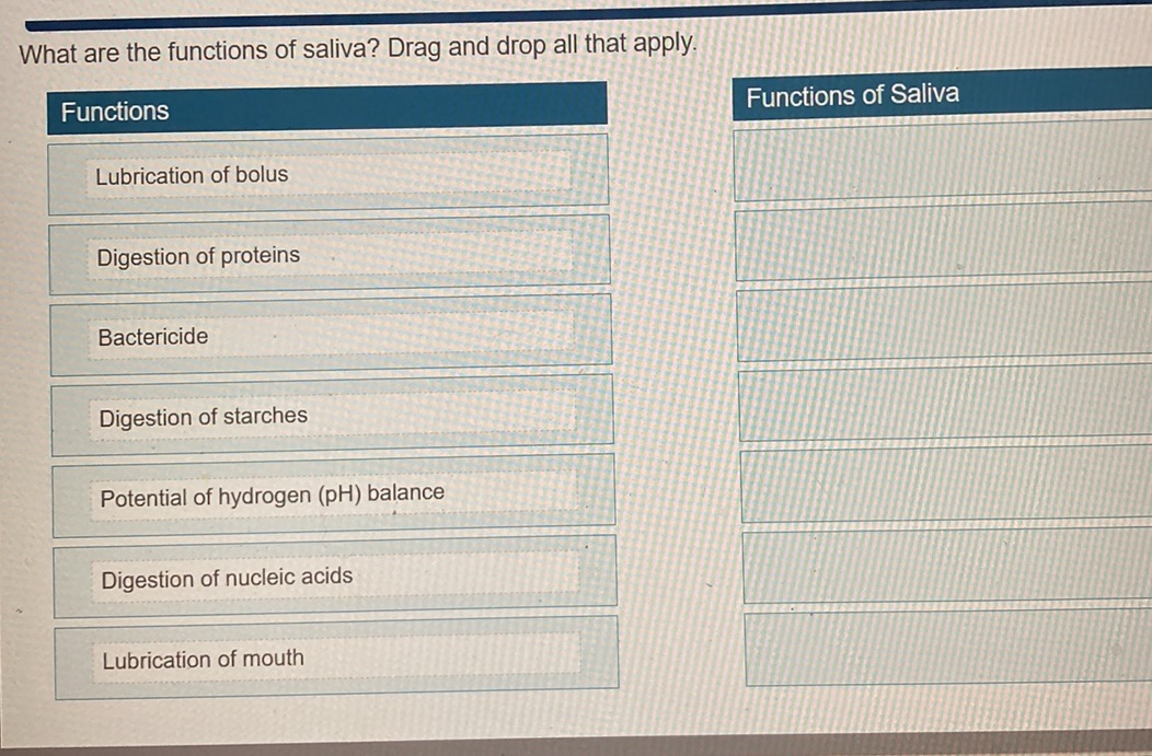 What are the functions of saliva? Drag and | StudyX