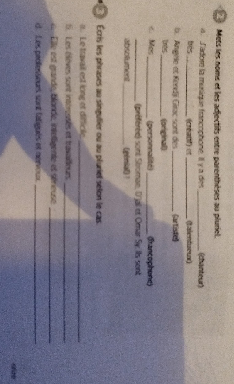 Mets les noms et les adjectifs entre | StudyX