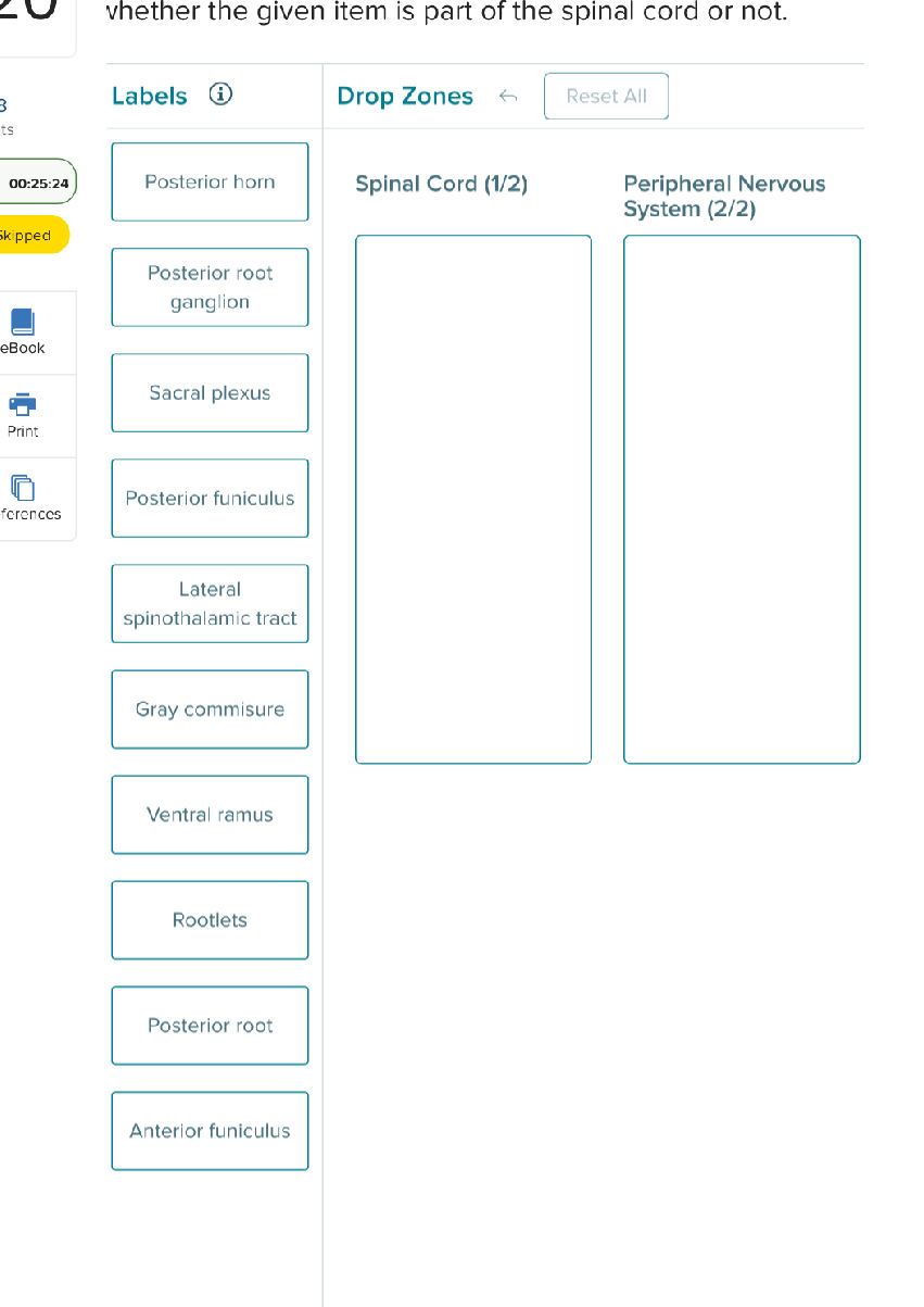 whether the given item is part of the spinal | StudyX