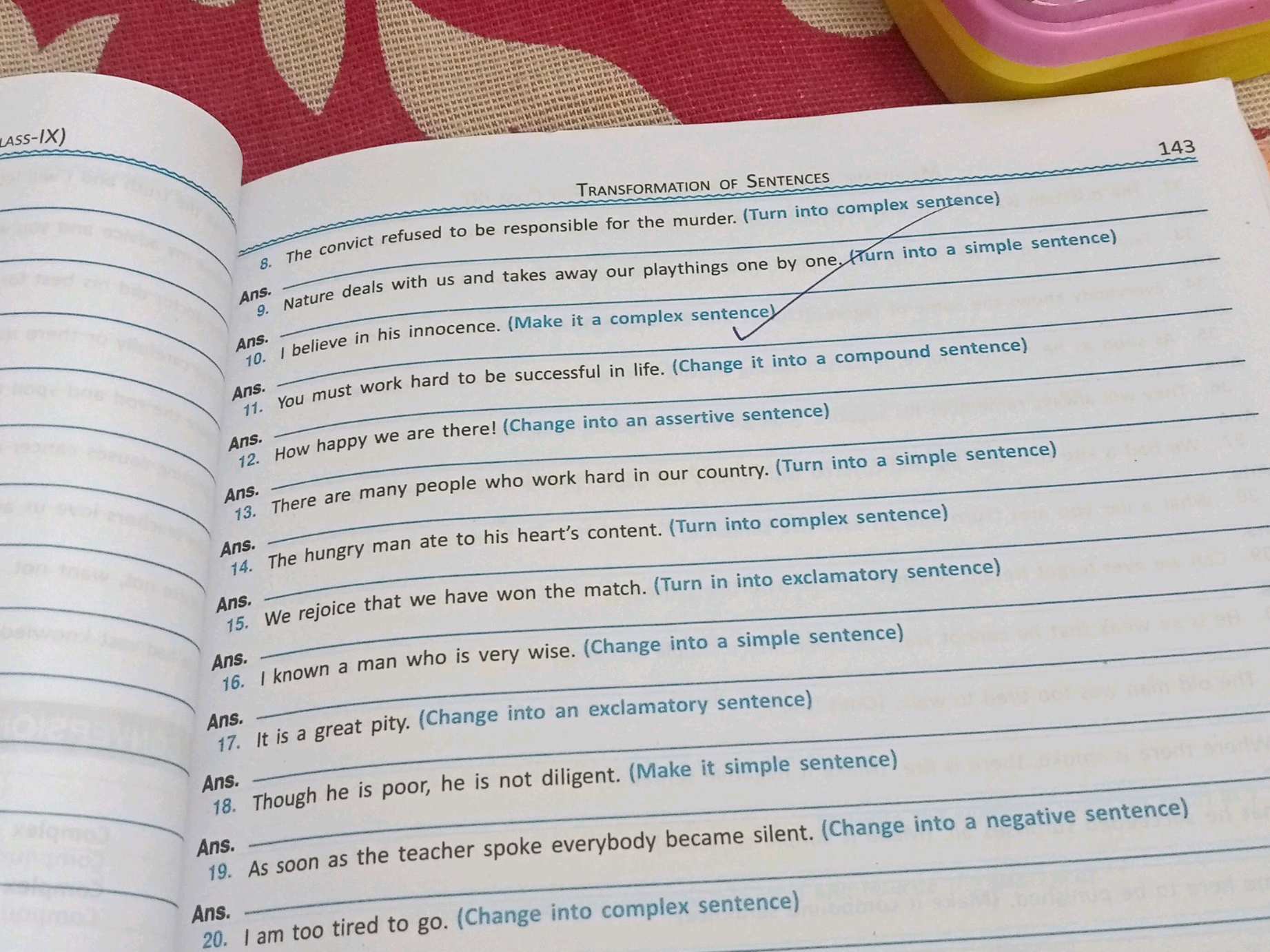 17. It is a great pity. (Change into an | StudyX