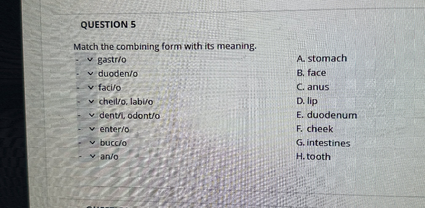 Match the combining form with its meaning. | StudyX