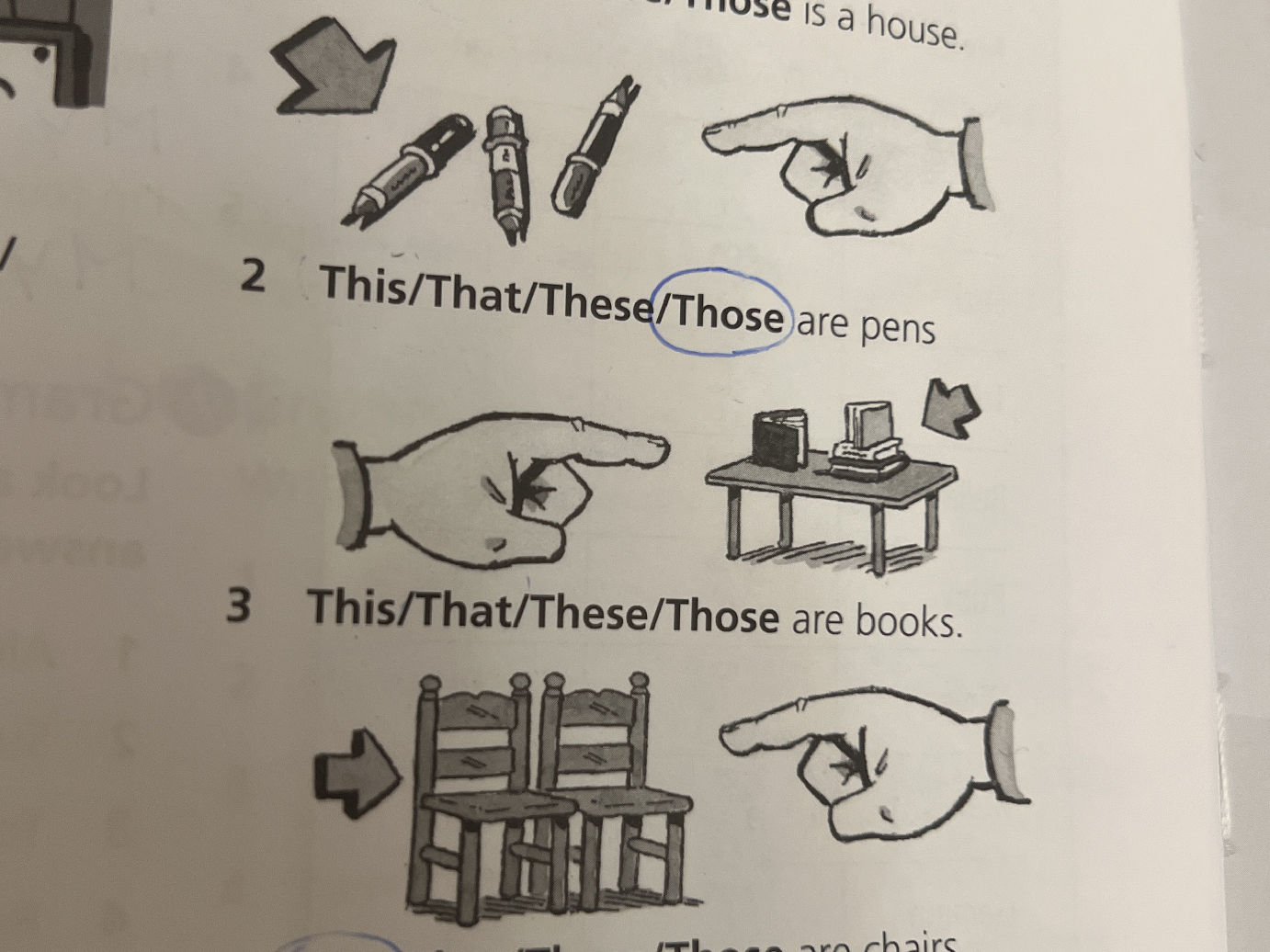 Demonstrative Pronouns Practice | StudyX