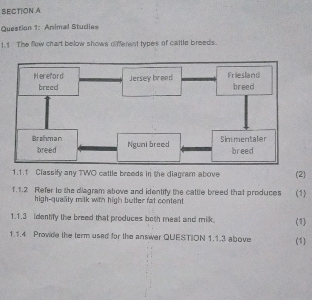 1.1 The flow chart below shows different | StudyX