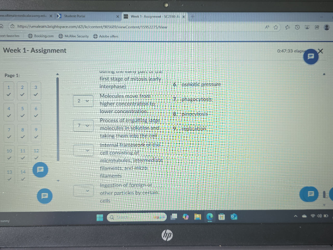 during the early part of the first stage of | StudyX