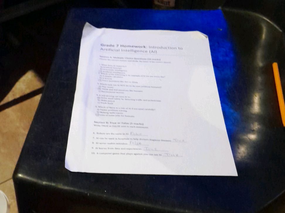 Grade 7 Homework: Introduction to Artificial | StudyX