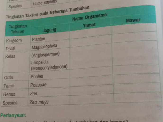 Tingkatan Takson pada Beberapa Tumbuhan | | StudyX