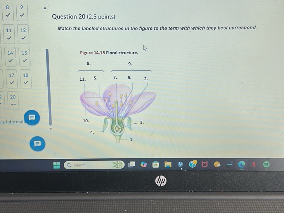 Question 20 (2.5 points) Match the labeled