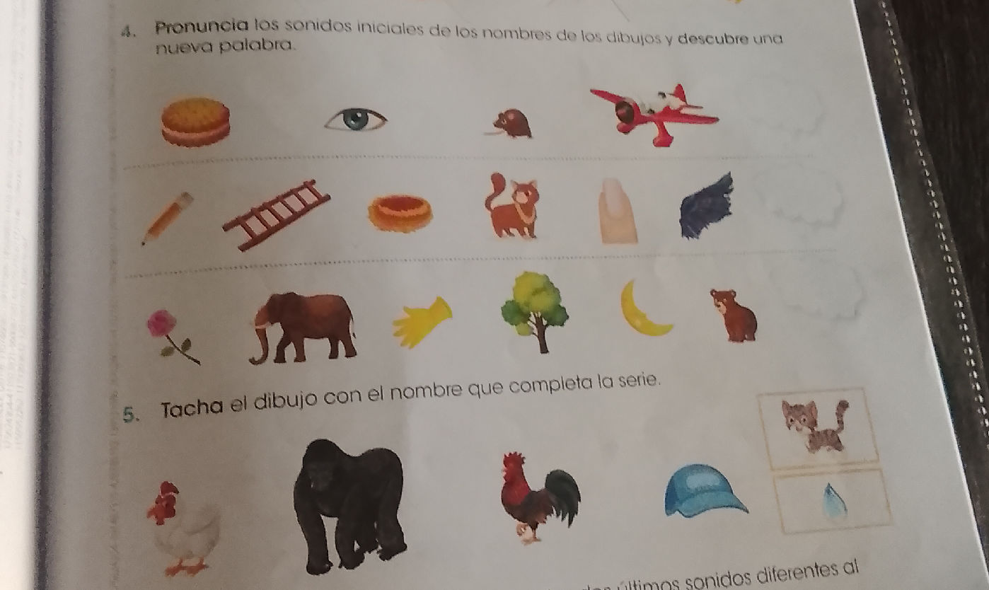 Pronuncia los sonidos iniciales de los | StudyX