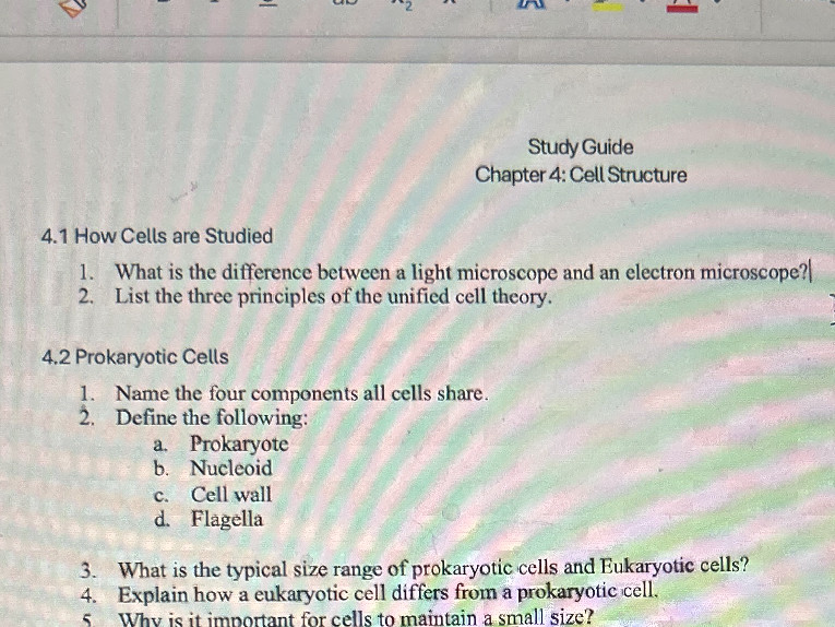1. What is the difference between a light | StudyX