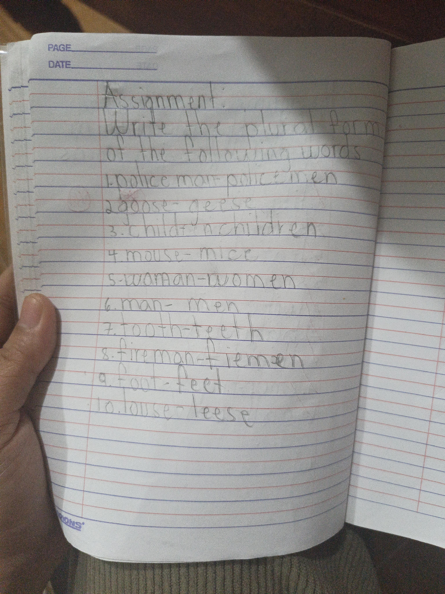 Assignment: Write the plural form of the | StudyX