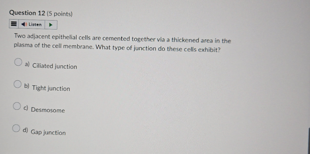 Two adjacent epithelial cells are cemented