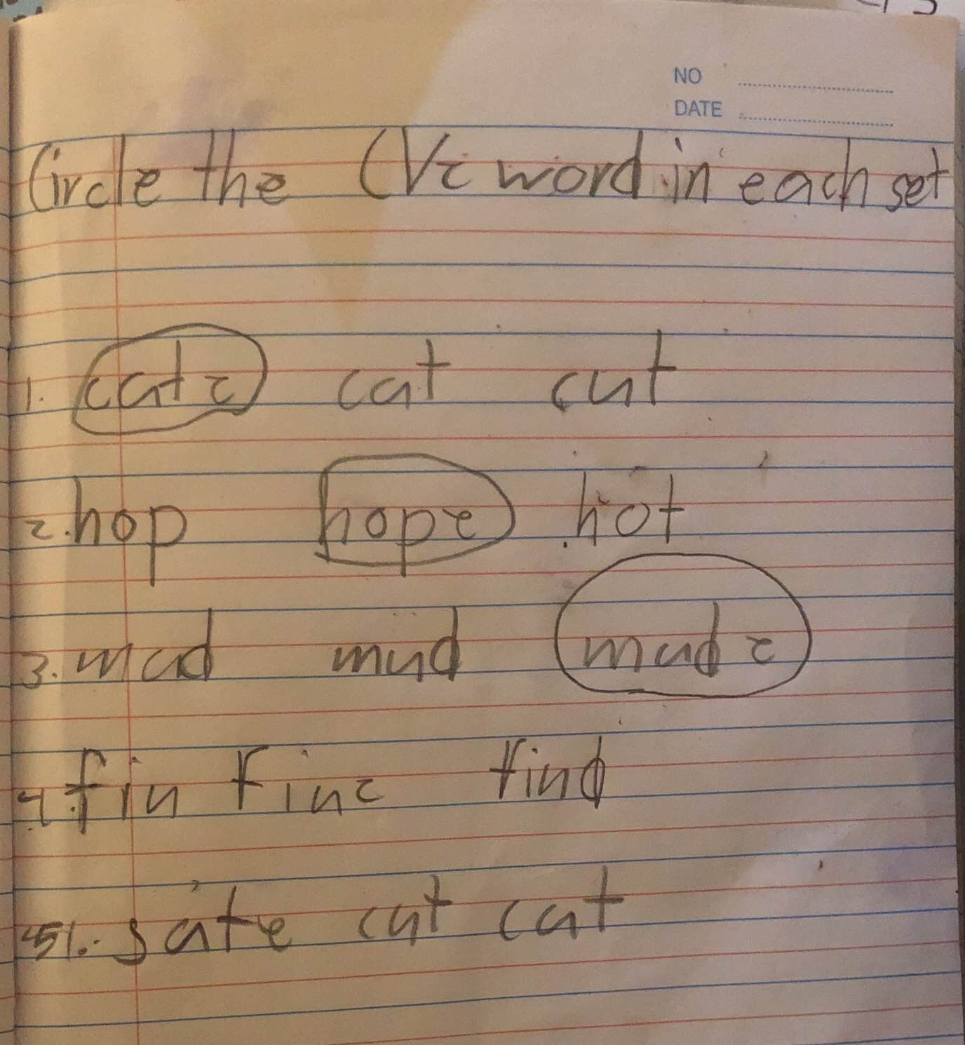 Circle the (Vc word in each set 1. cate cat | StudyX
