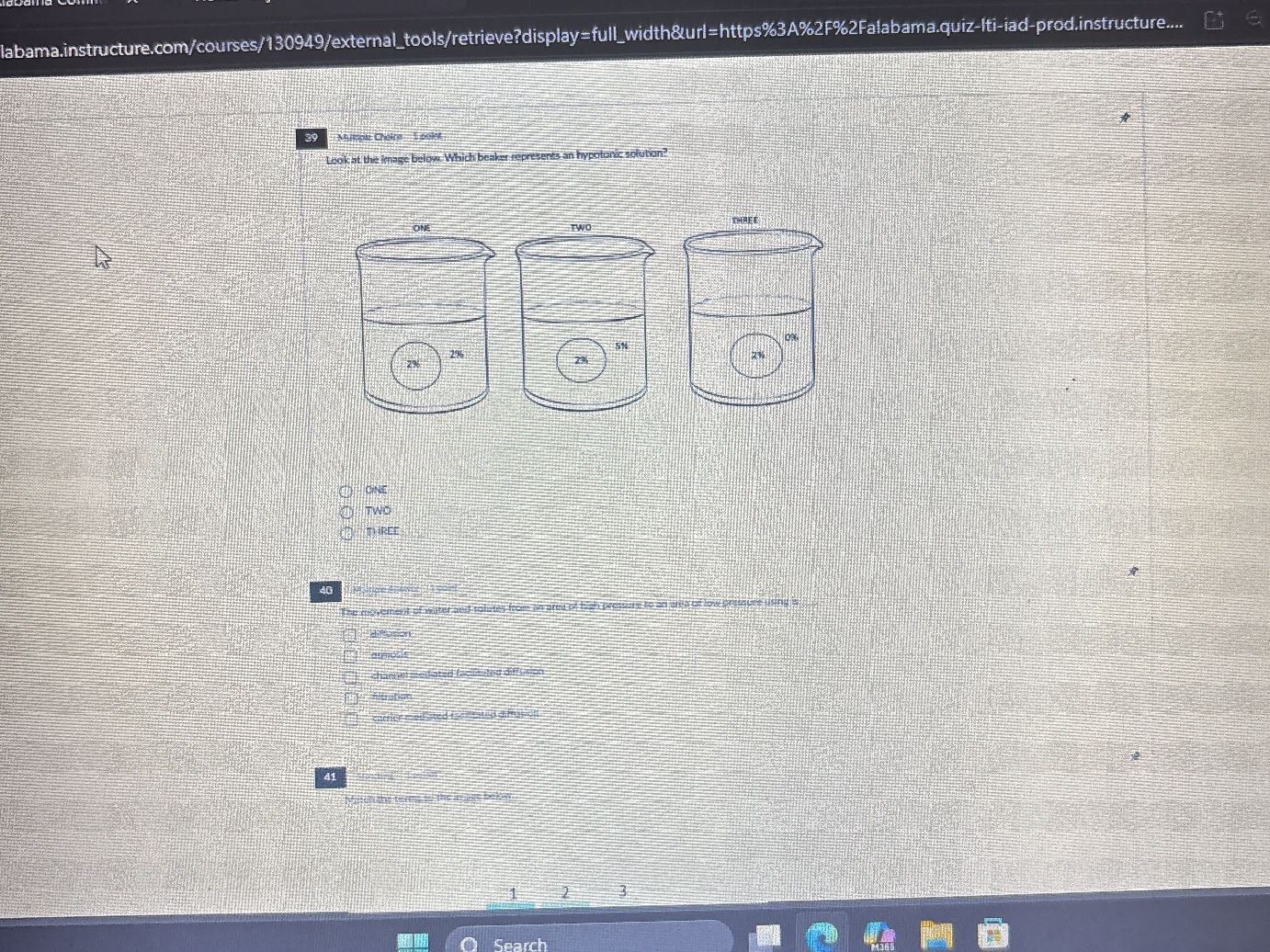 Matching Terms to Images | StudyX