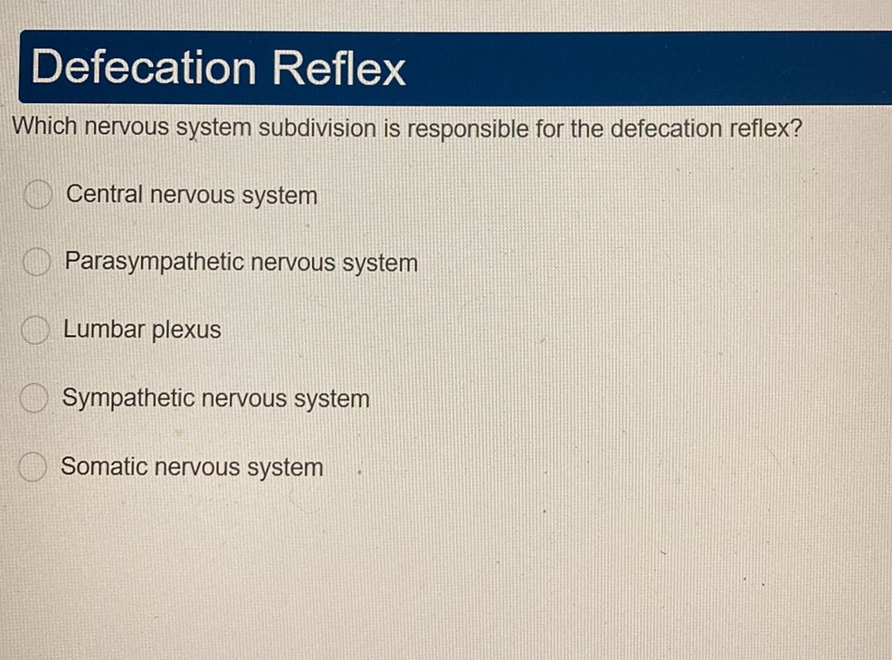 Which nervous system subdivision is | StudyX