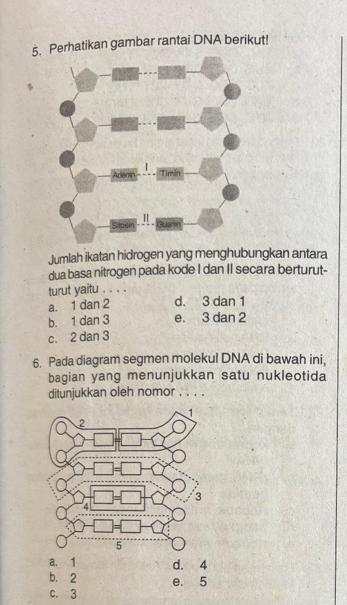 Pada diagram segmen molekul DNA di bawah | StudyX