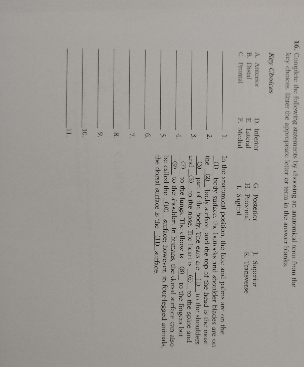 Complete the following statements by | StudyX