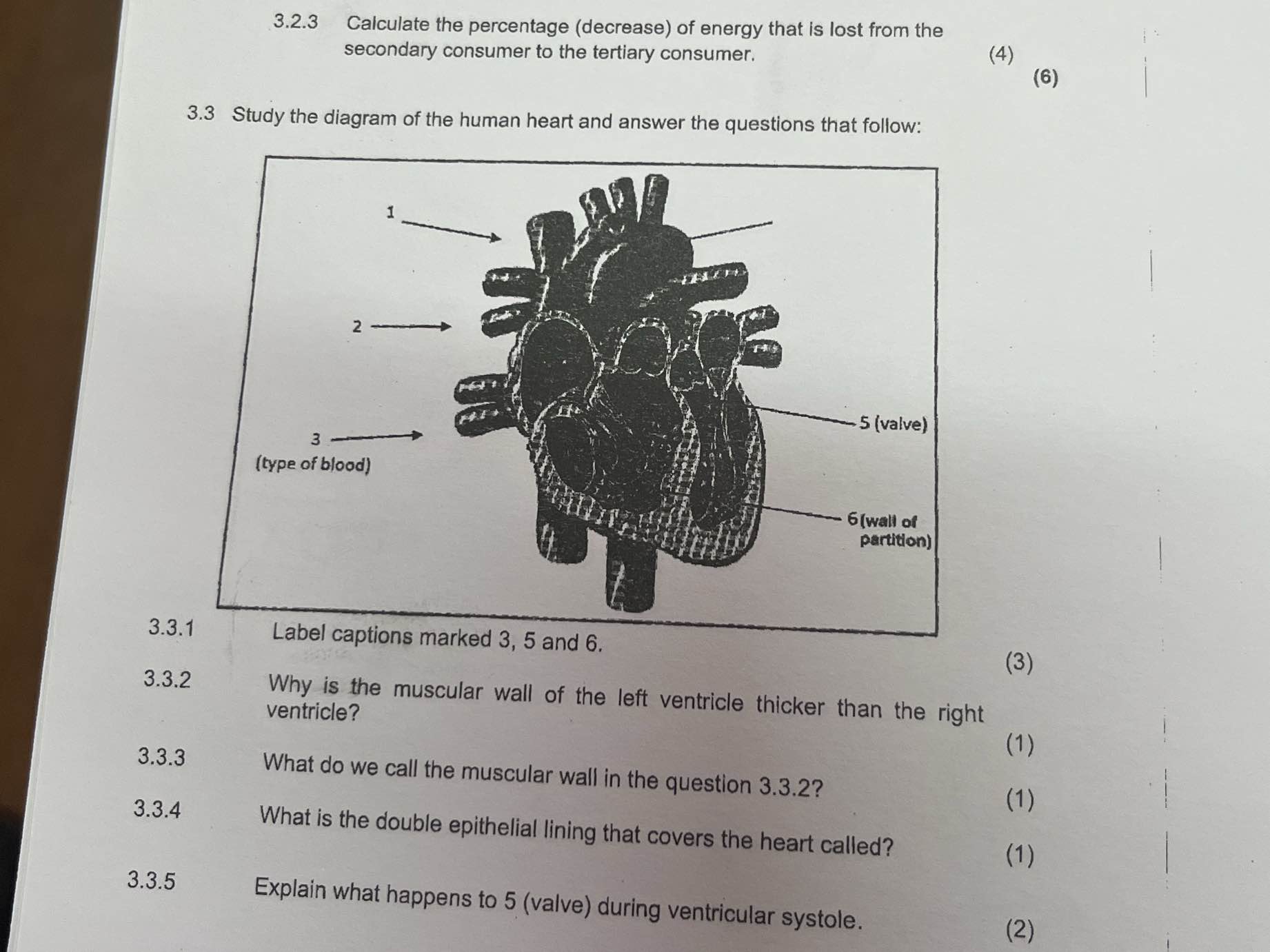 Study the diagram of the human heart and | StudyX