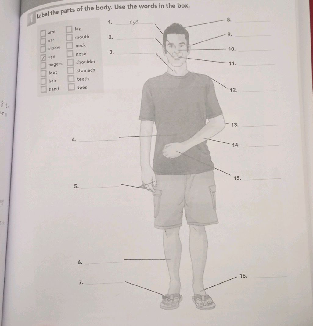 Label the parts of the body. Use the words | StudyX