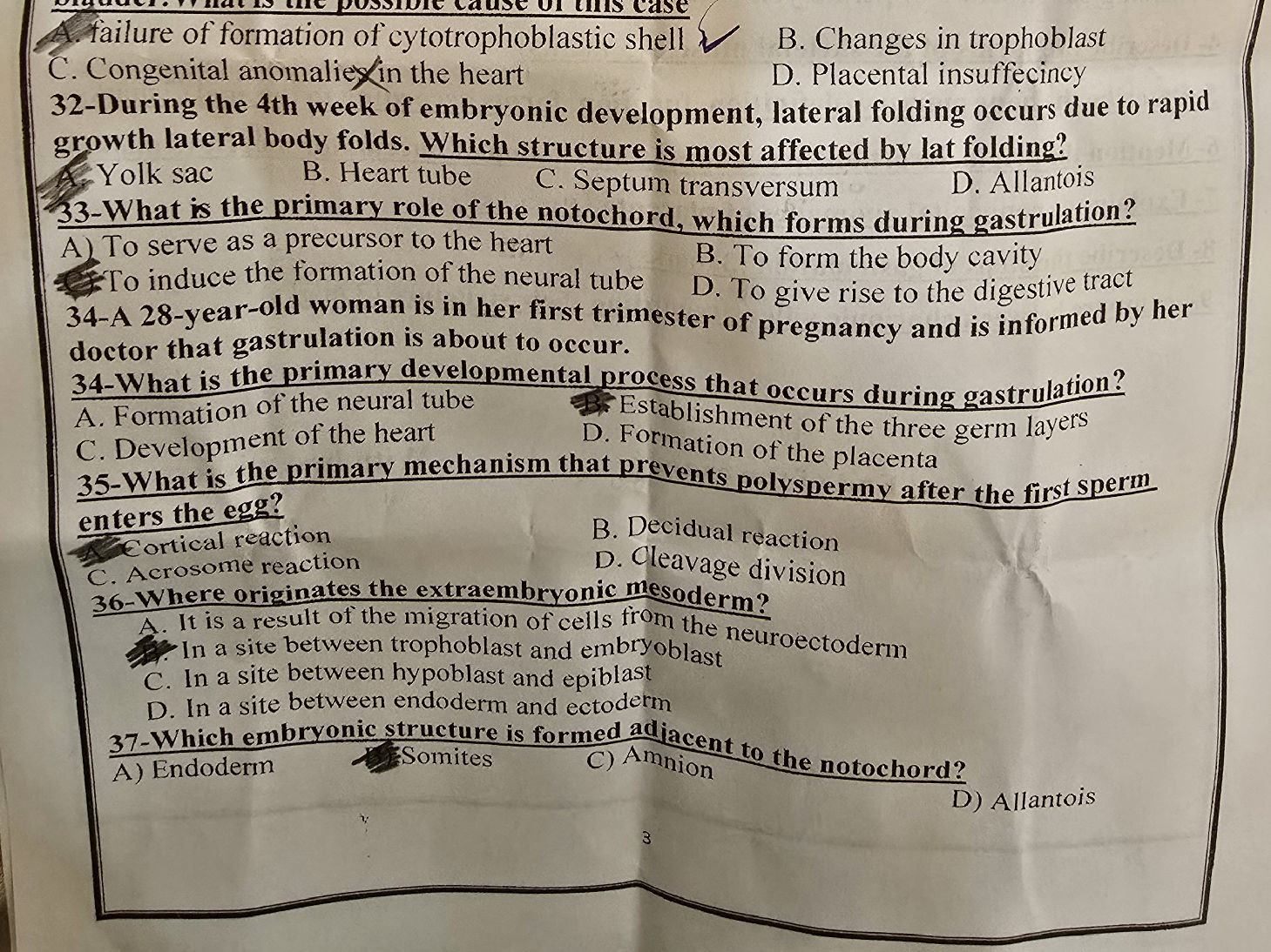 32-During the 4th week of embryonic | StudyX