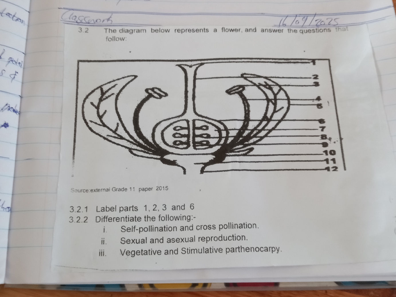 The diagram below represents a flower, and | StudyX