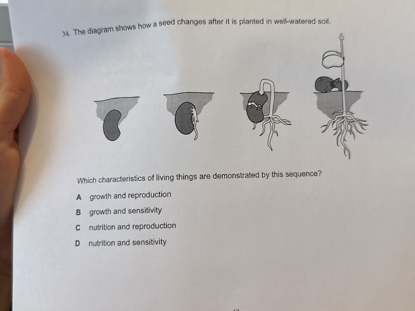 The diagram shows how a seed changes after | StudyX