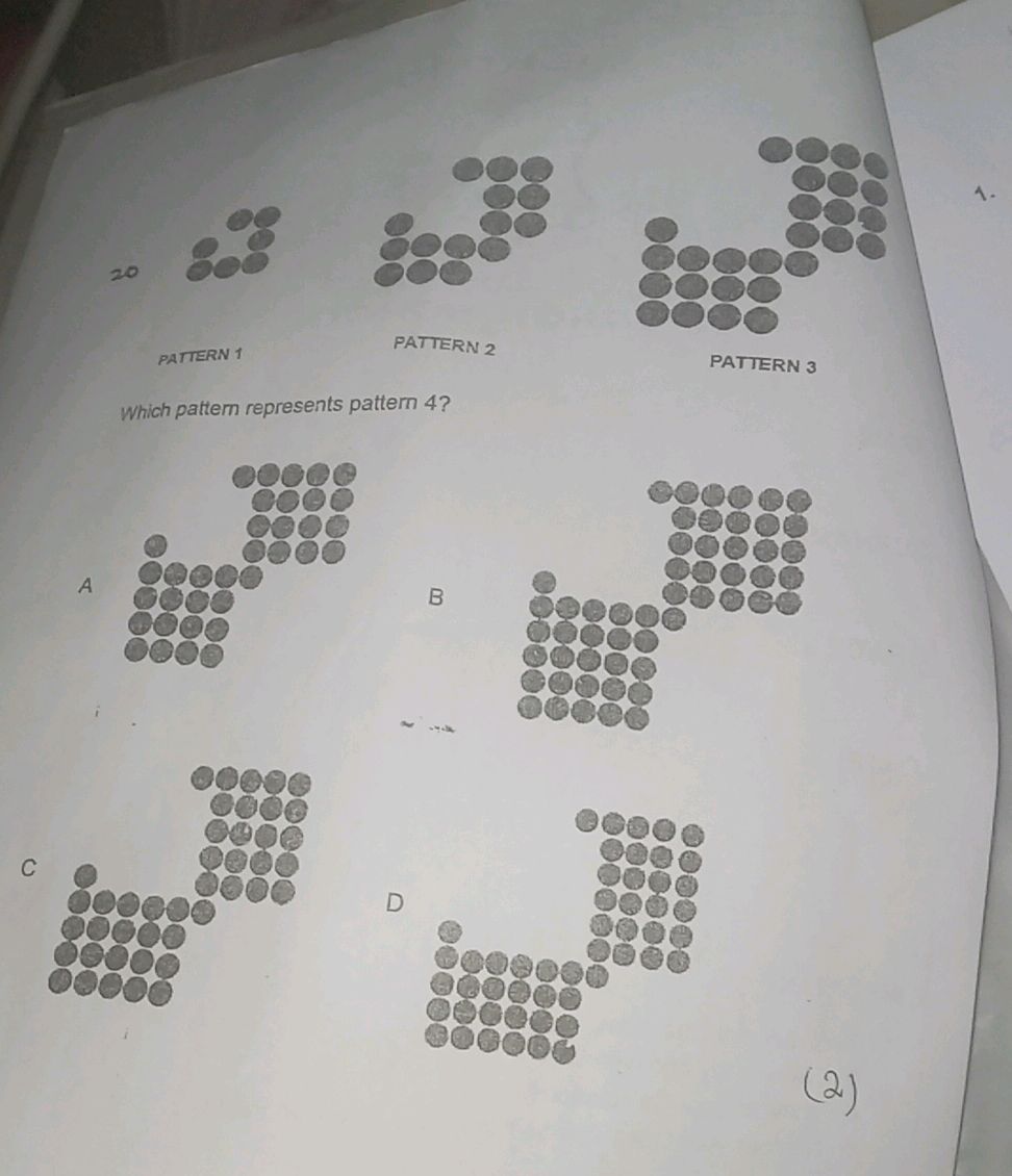 PATTERN 1 PATTERN 2 PATTERN 3 Which | StudyX