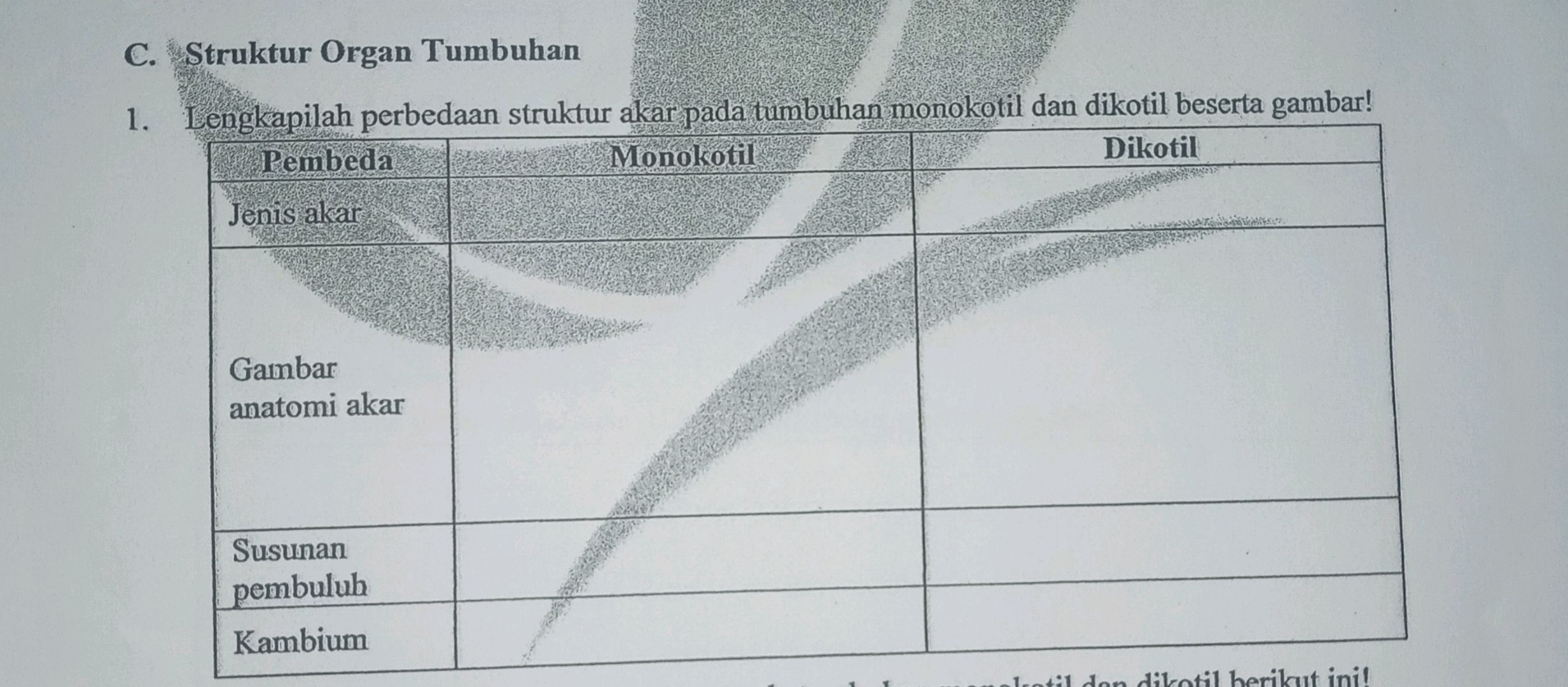 1. Lengkapilah perbedaan struktur akar pada | StudyX