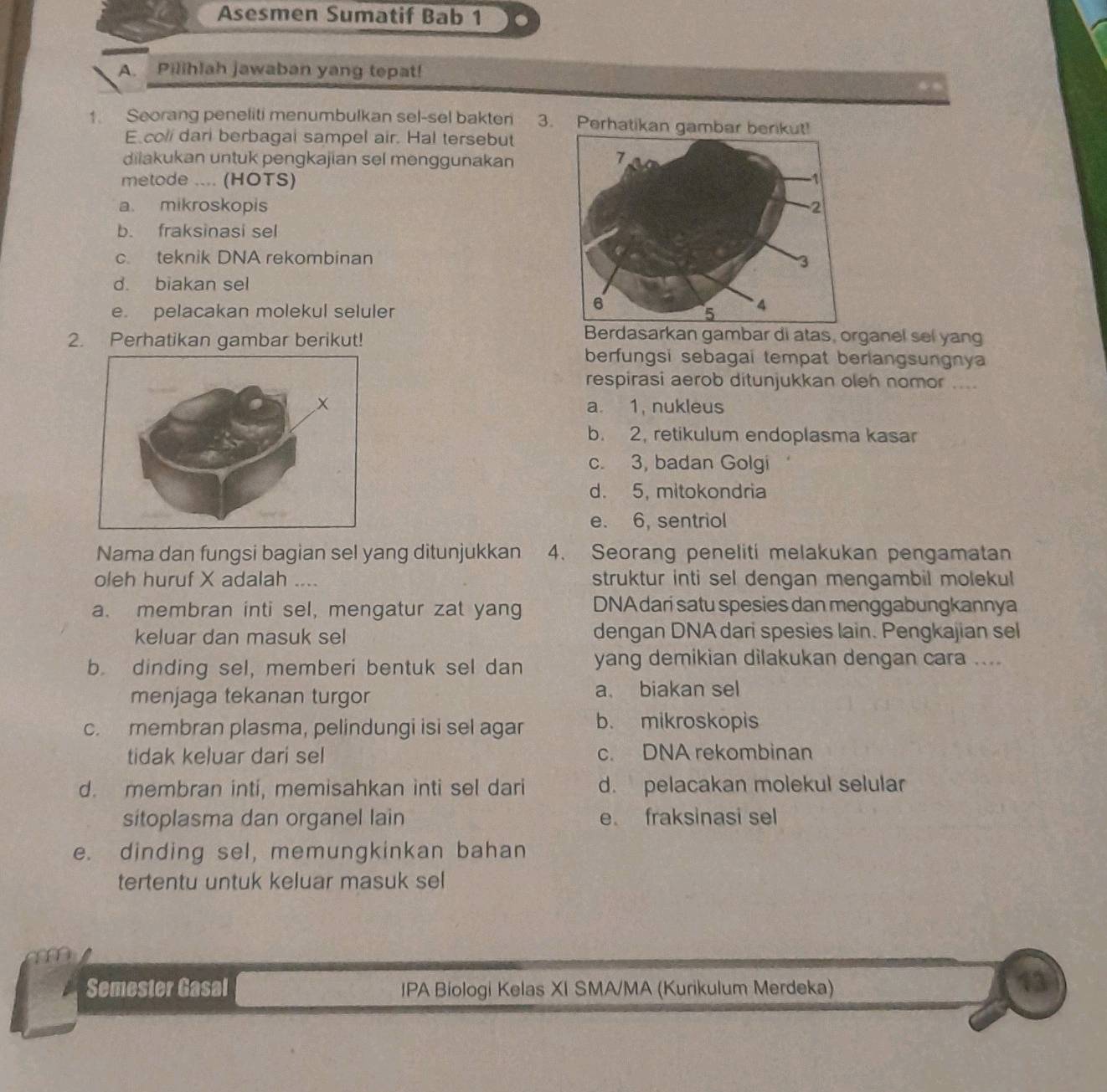 Perhatikan gambar berikut! [Image of a cell | StudyX