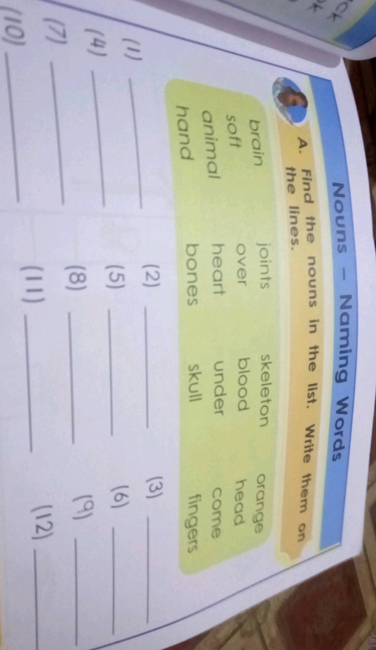 A. Find the nouns in the list. Write them on | StudyX