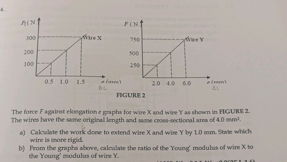 The force F against elongation e graphs for | StudyX