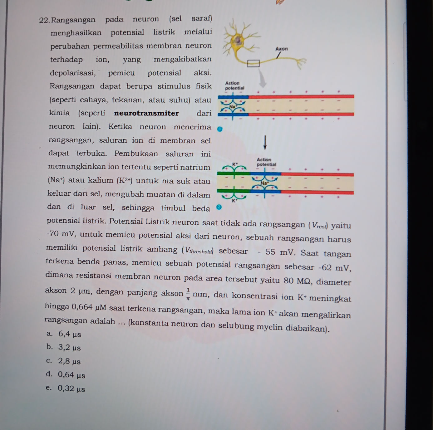 22. Rangsangan pada neuron (sel saraf) | StudyX
