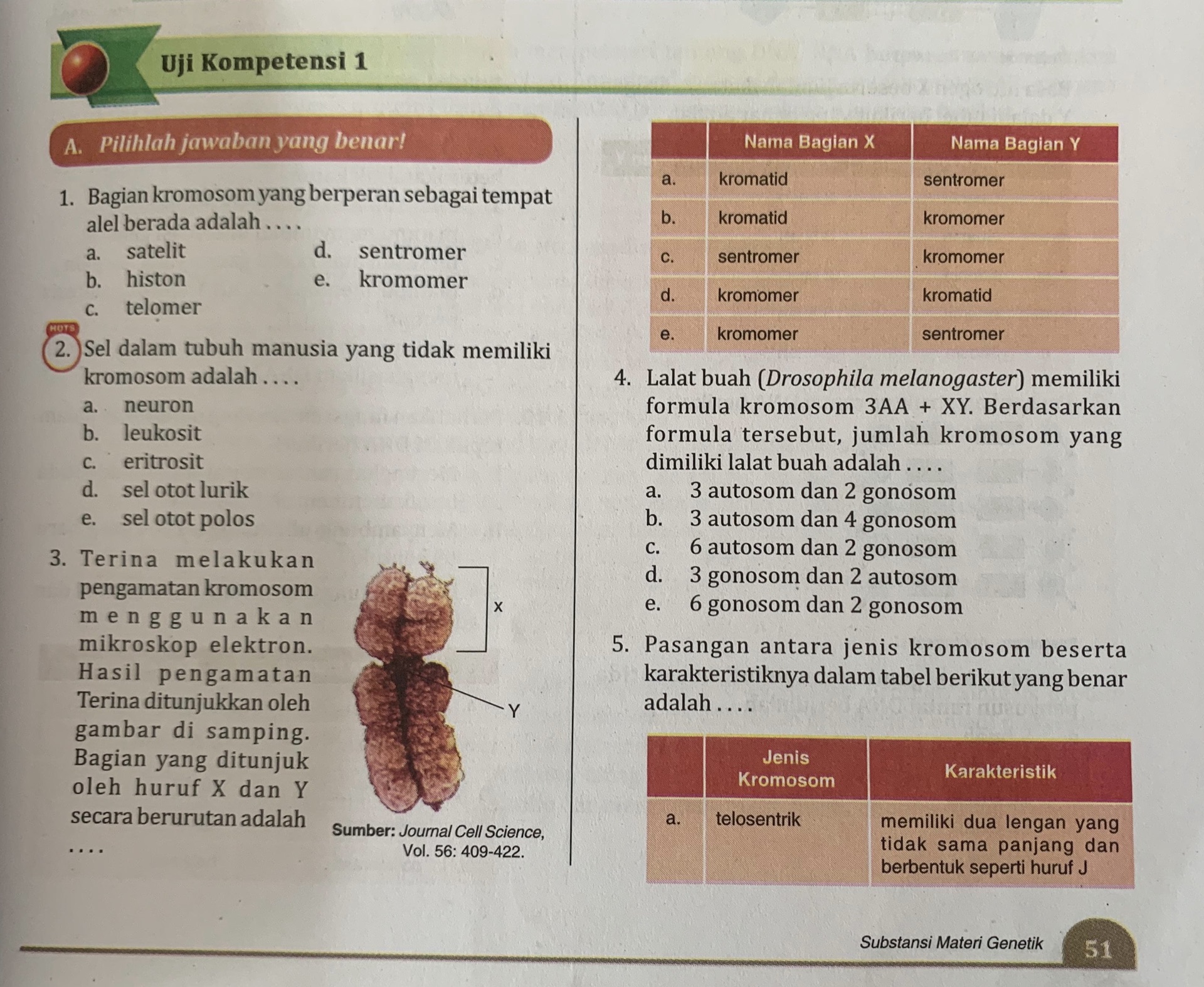 Bagian kromosom yang berperan sebagai tempat