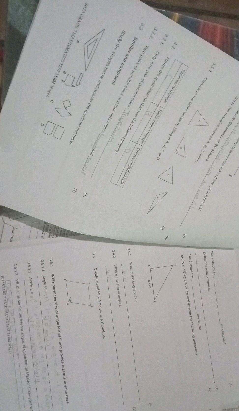 Study the triangles marked A, B, C and D. | StudyX