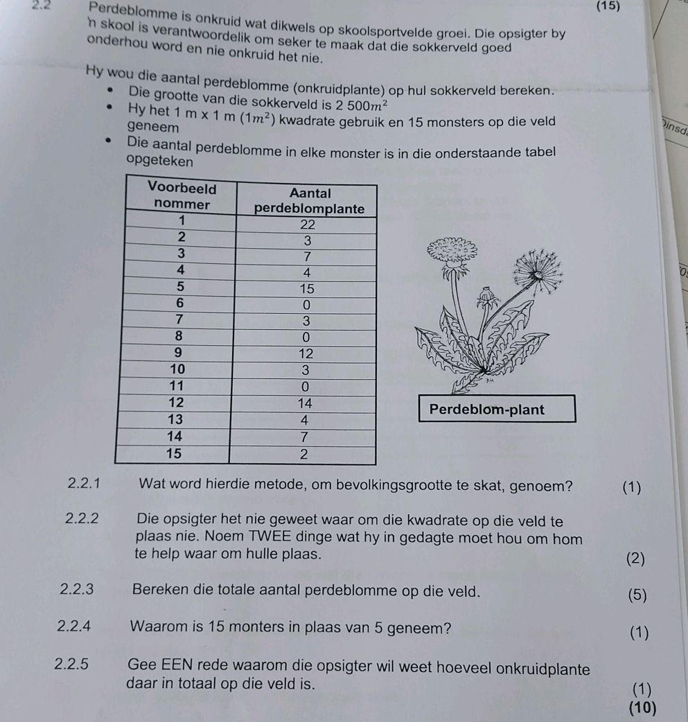 Perdeblomme is onkruid wat dikwels op | StudyX