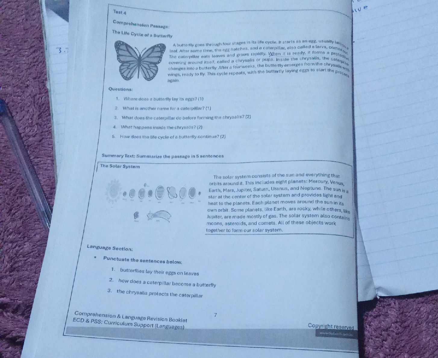 The Life Cycle of a Butterfly A butterfly | StudyX