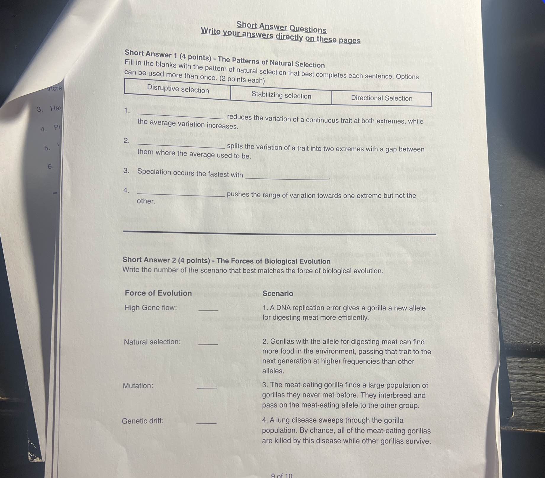 Short Answer 1 (4 points) - The Patterns of | StudyX