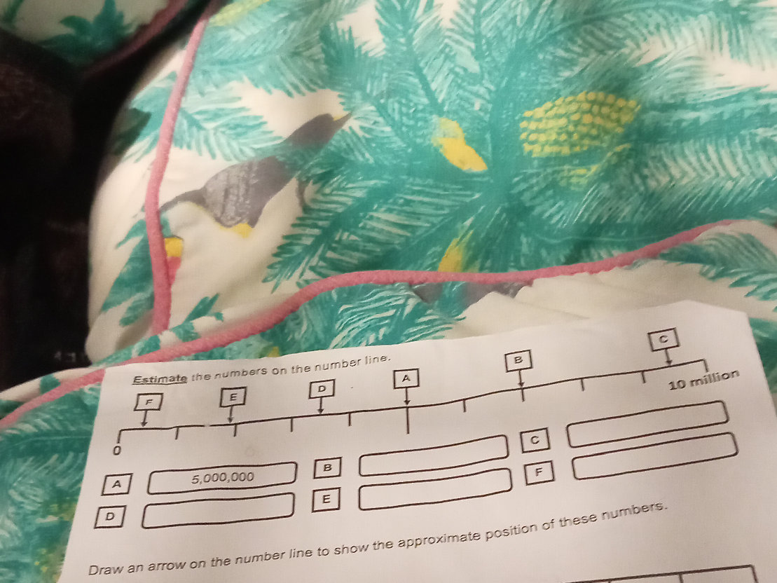 Estimate the numbers on the number line. F | StudyX