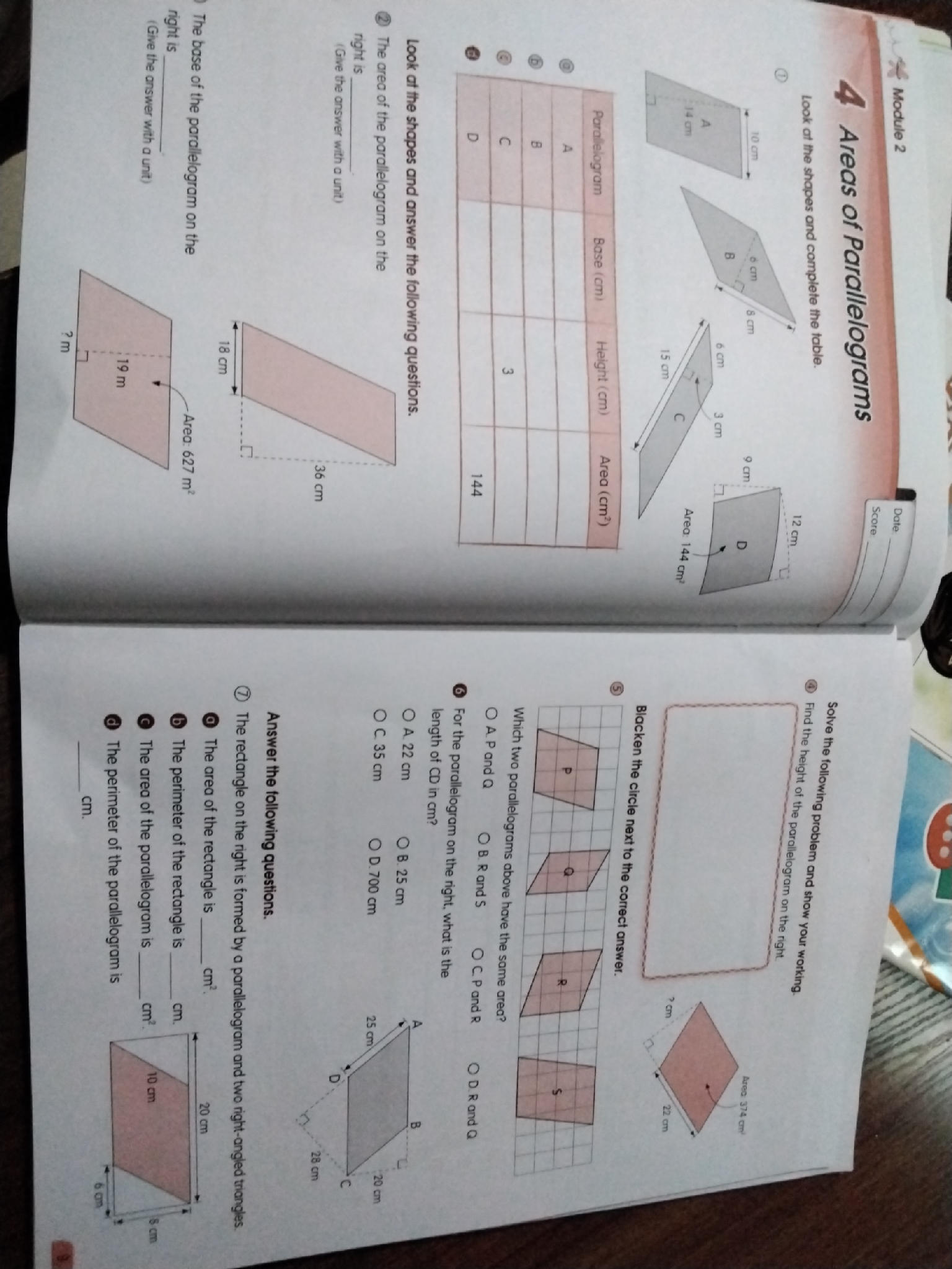 Look at the shapes and complete the table. | StudyX