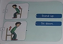 Action Verbs: Stand up and Sit down | StudyX